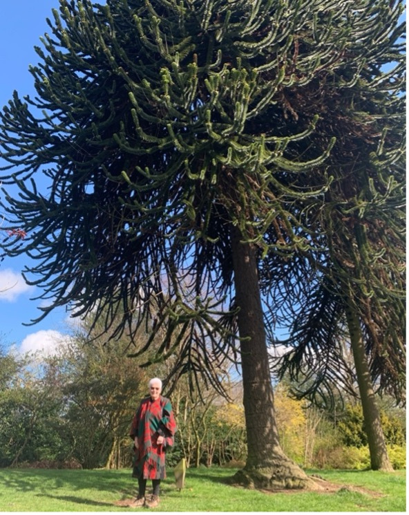 Tales from the Tours: Plant Hunters - Friends of Glasgow Botanic Gardens