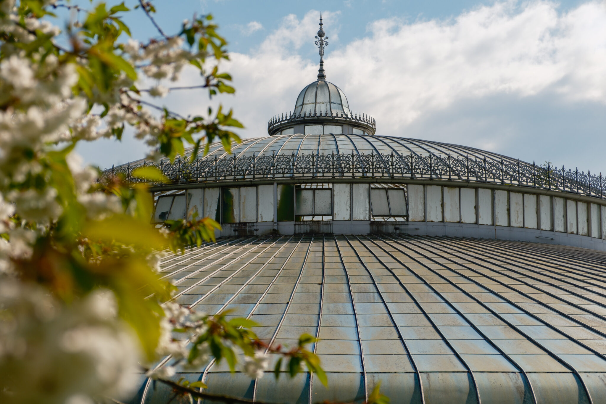 Home - Friends of Glasgow Botanic Gardens