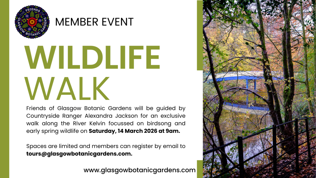 Wildlife Walk (member event) - Friends of Glasgow Botanic Gardens
