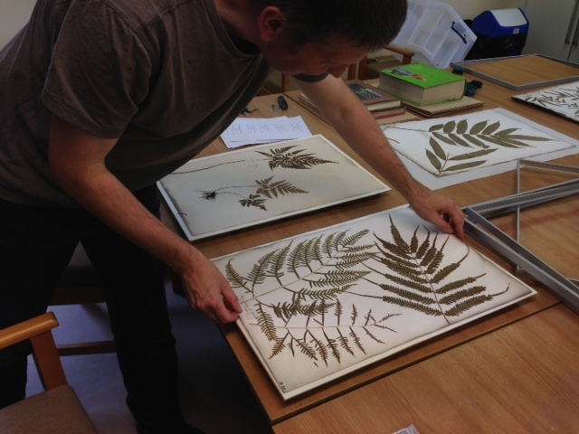 Glasgow Botanic Gardens Herbarium Exhibition 2013 - Friends of Glasgow ...